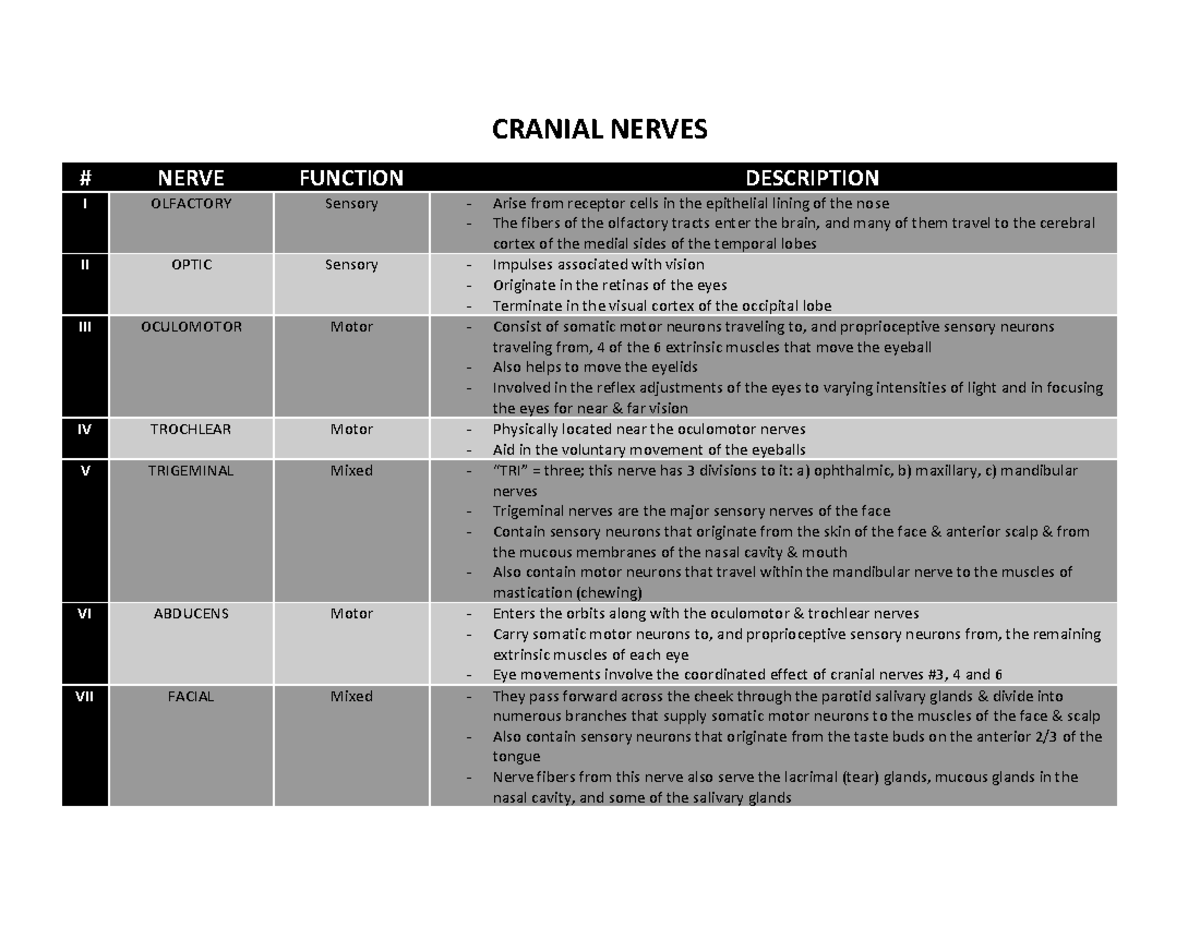 PARA 128 - Nervous - SUPP - Cranial Nerves - Warning: TT: undefined function: 32 Warning: TT ...