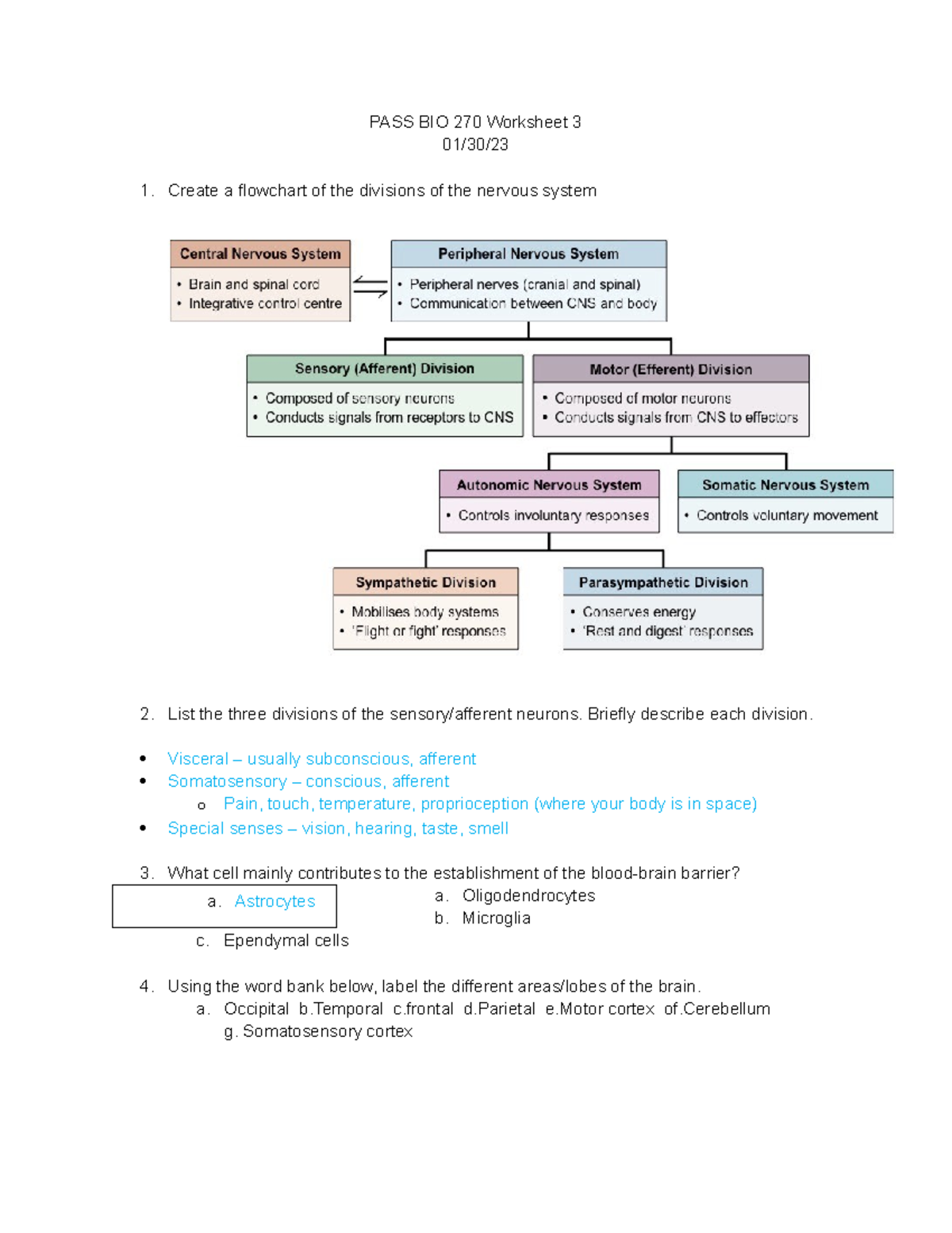 Worksheet 3 (1 30) - Dr. Brown - PASS BIO 270 Worksheet 3 01/30/ Create ...