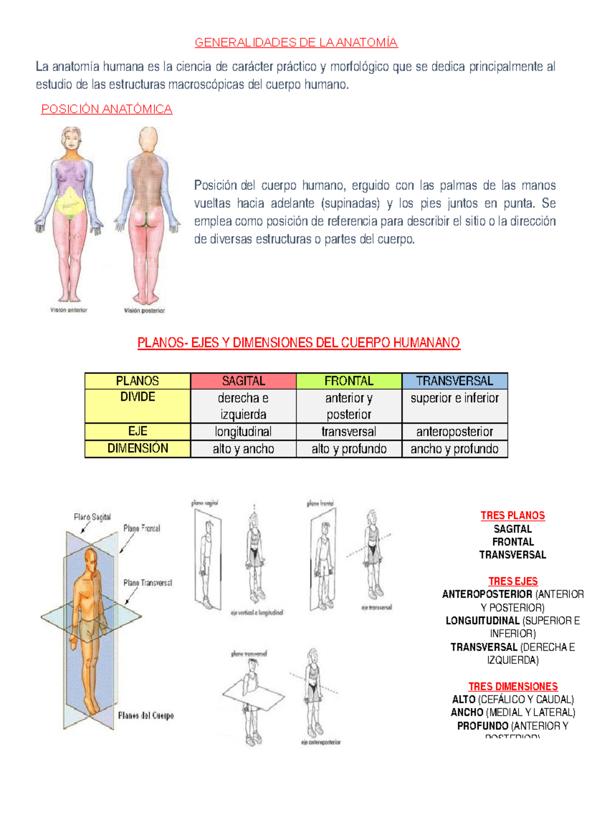 Anato Semana 01 Generalidades De La Anatomía La Anatomía Humana Studocu