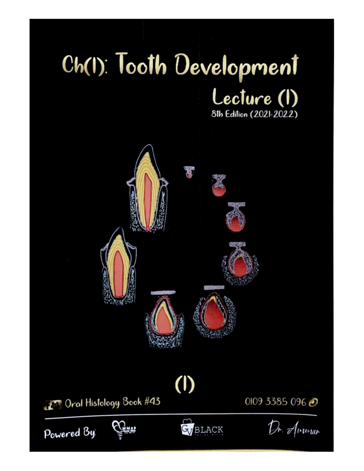 Oral 1 Dr ammar - Oral biology - Oral Biology I - Studocu