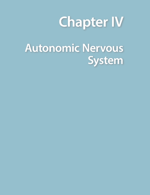 Nichd 2008 Summary Fetal Monitoring Terminology - Summary of the 2008 ...