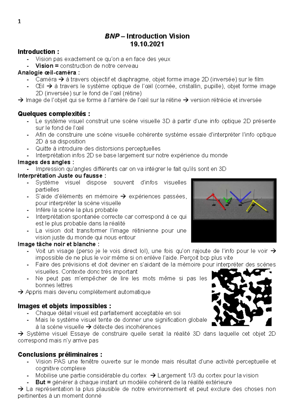 5. Introduction vision - 1 BNP – Introduction Vision 19. Introduction : Vision pas exactement ce ...