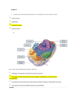 Chapter 005 - Structure and Function of the Body Organ Systems - 5 ...