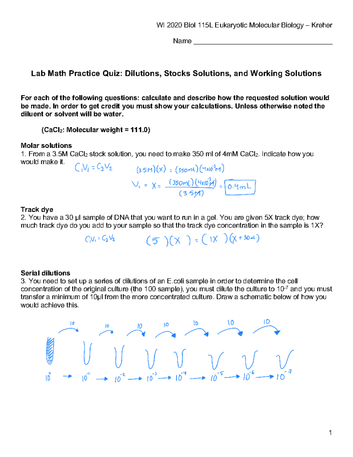 Eukaryotic Lab Calculations - Name ...