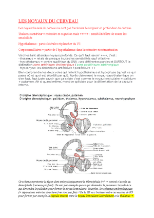 ANATOMIE DU TRONC - CHAPITRE 1 LES PAROIS DU TRONC Qu’est-ce que le ...