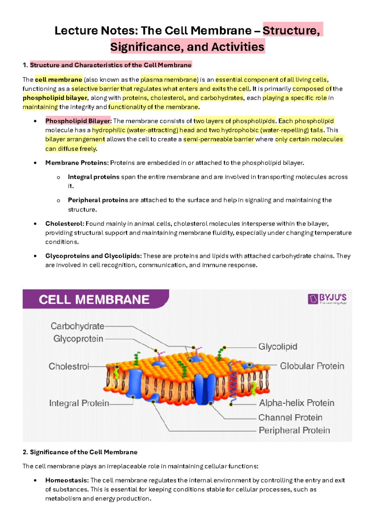 CELL- Membrane 021201 - About cell and bodily functions. - Lecture ...