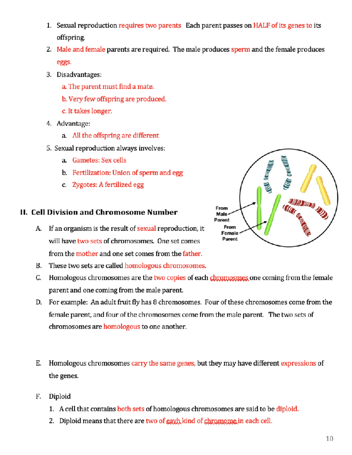 Cell Growth and Division - Studocu