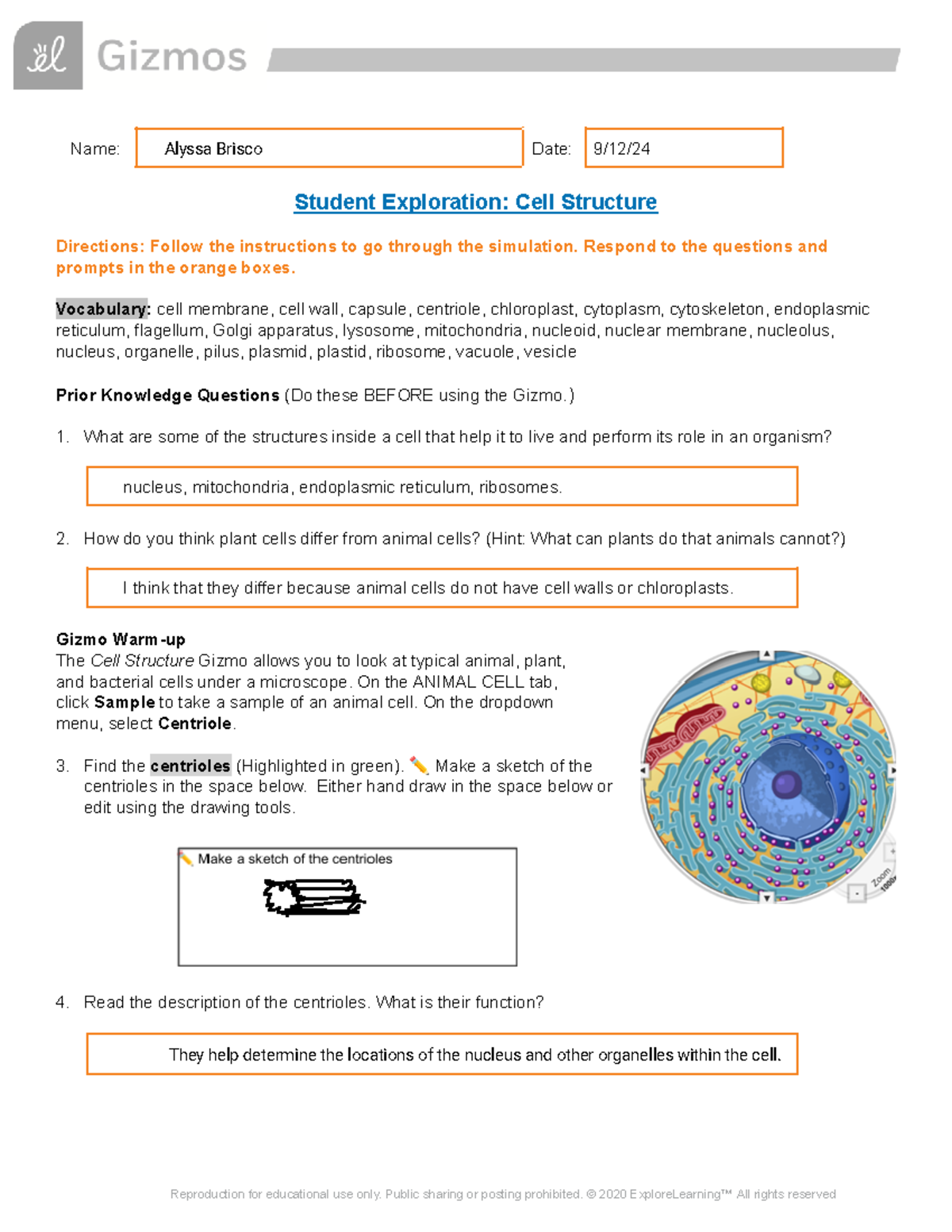 Kami Export - Alyssa Brisco - Gizmos Cell Structure - 18012045 - Name ...