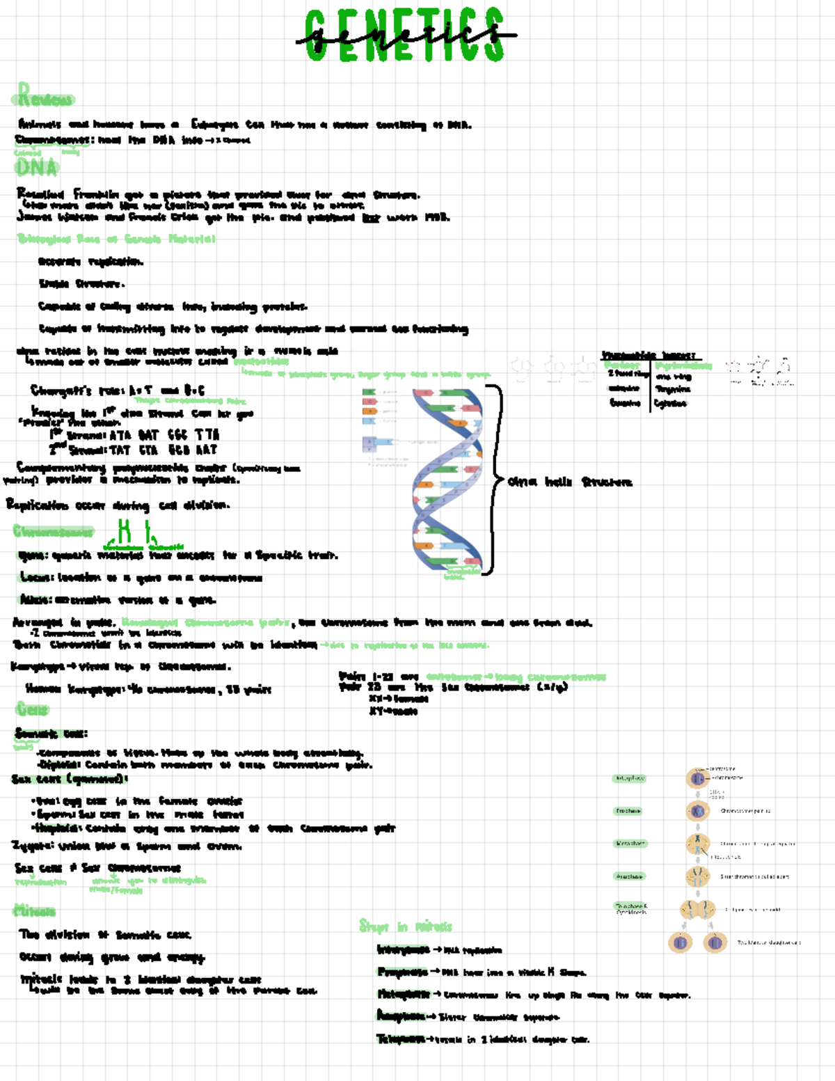 Genetics pt1 - Notes are taken from provided lecture videos, textbook ...