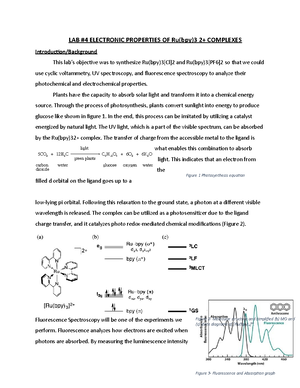 LAB #5 Synthesis OF Werner Complexes - LAB #5 SYNTHESIS OF WERNER ...