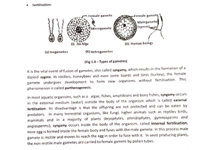 Physical Activity Trainer XI - List of some commonly used Props and ...
