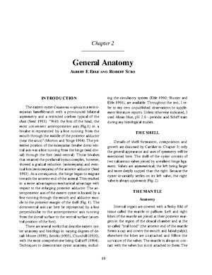 C.Skeletal System - Human Anatomy & Physiology: Skeletal System; Ziser ...