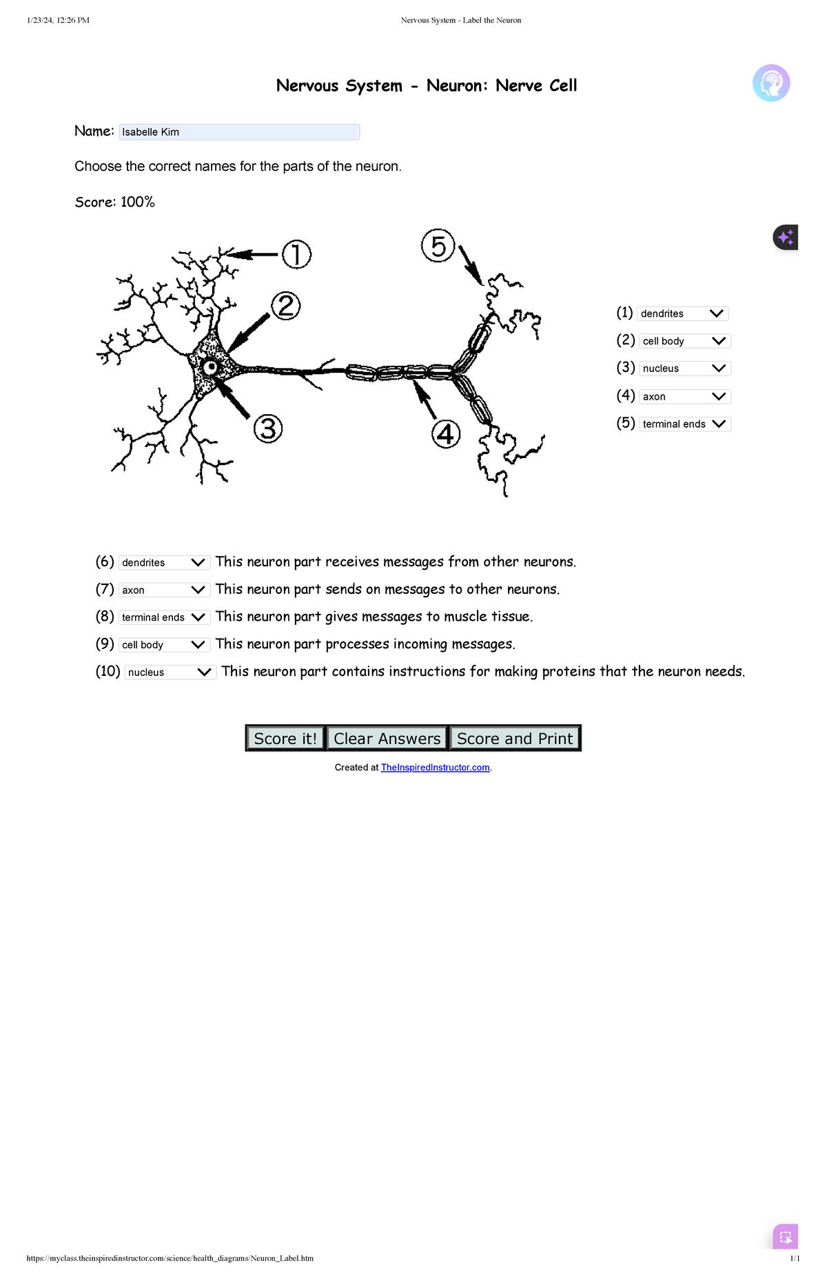 Nervous System - Label the Neuron - 1/23/24, 12:26 PM Nervous System ...
