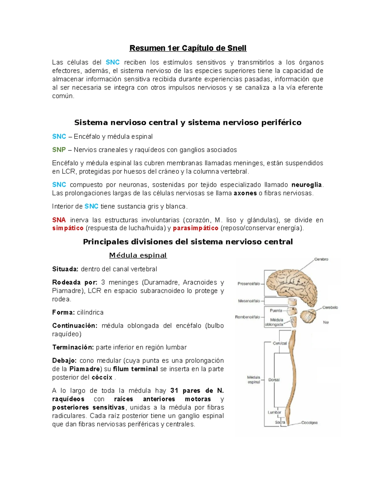 Snell capítulo 1- Introducción y organización del sistema nervioso - CASO: Los estímulo pueden ...