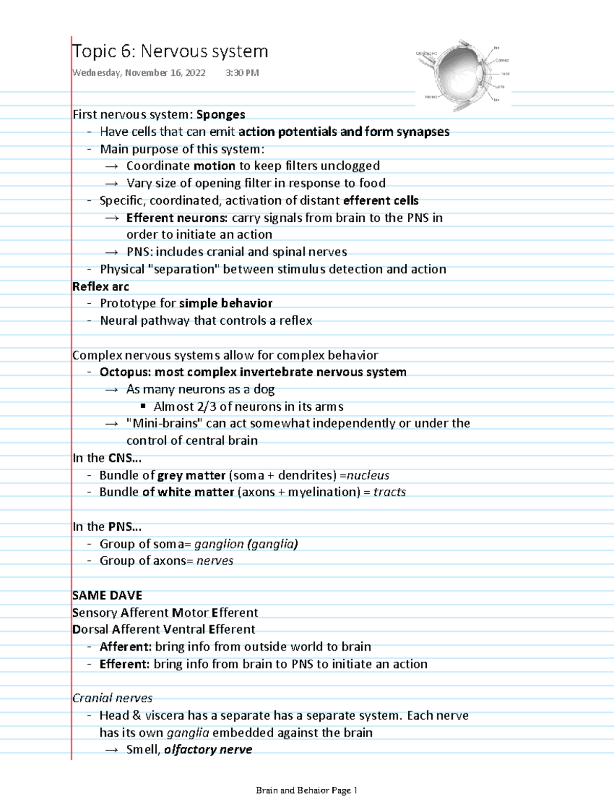 Topic 6 Nervous system - First nervous system: Sponges - Have cells ...