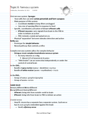 Visual System - Dr. Lisa McIlvried - How does "information" from the ...