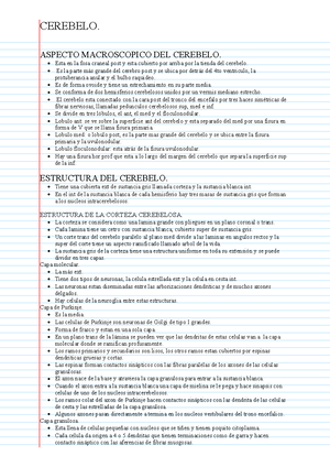 Reflejos patológicos - Reflejos patológicos De la cabeza: Reflejo de ...