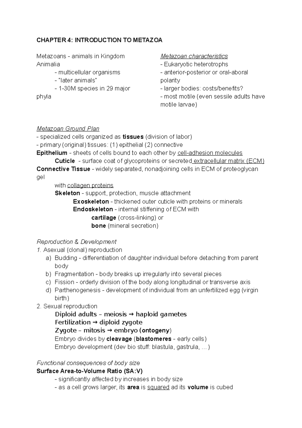 CH4 Introduction to Metazoa - CHAPTER 4: INTRODUCTION TO METAZOA ...