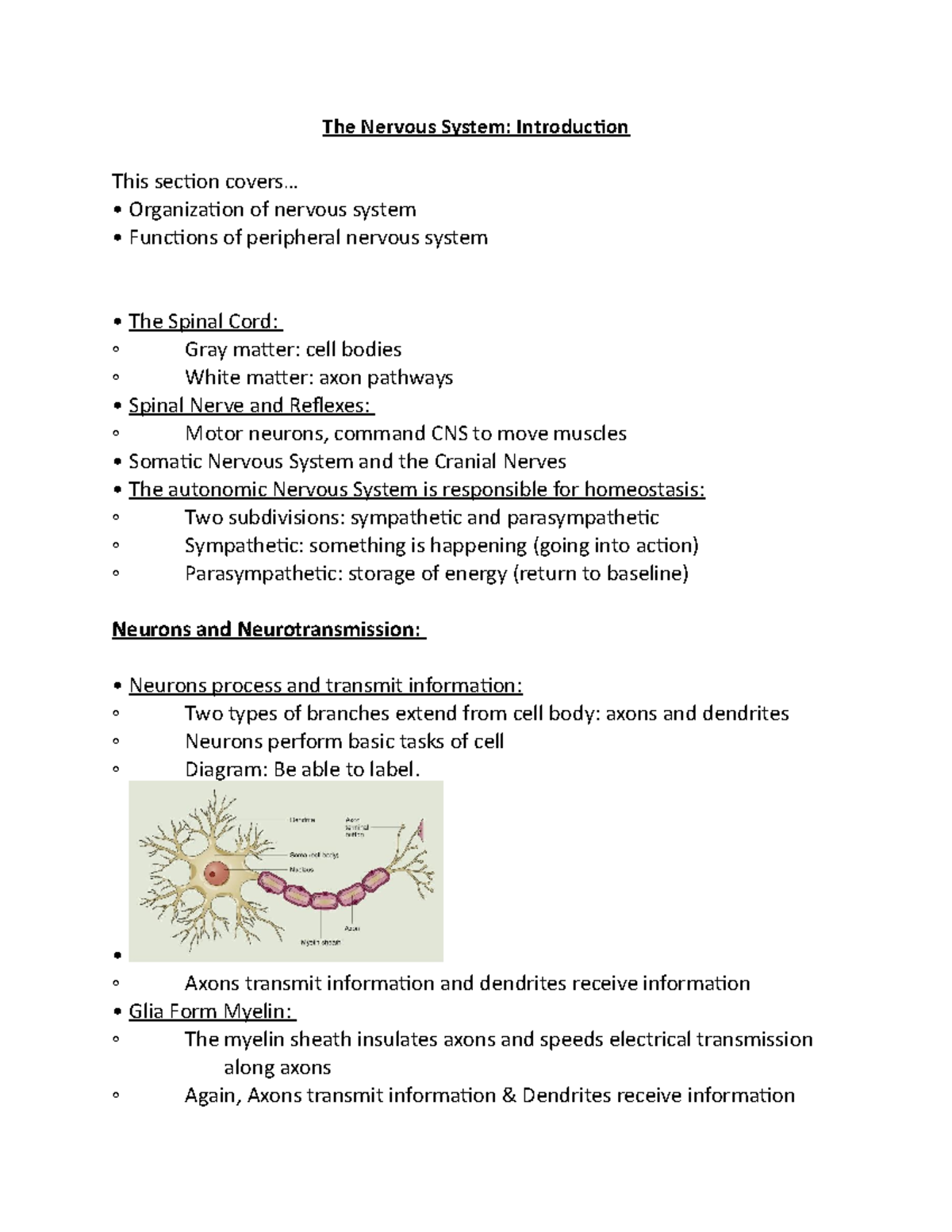 The Nervous System - Lecture notes 7 - The Nervous System: Introduction ...