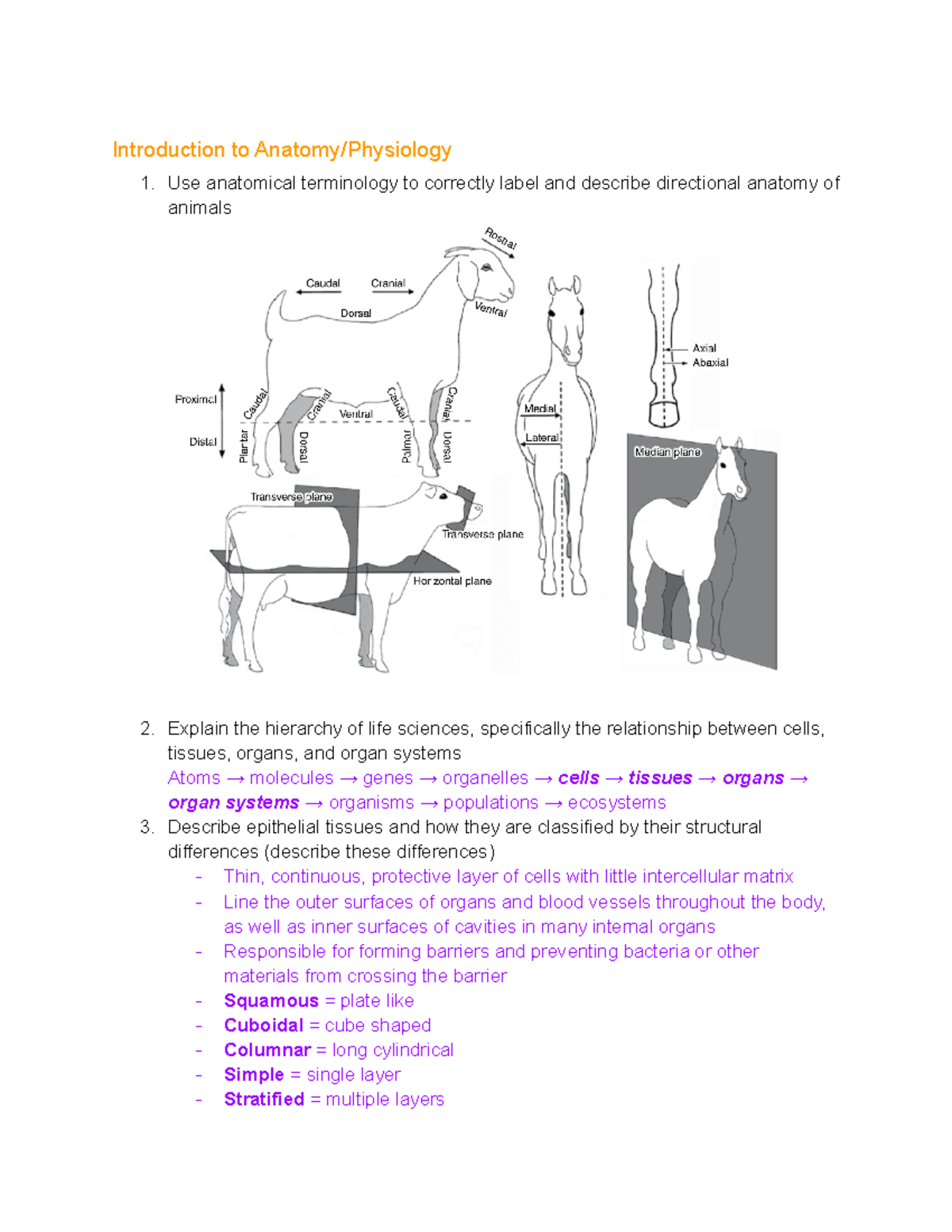 Principles of Animal Systems Physiology Study Guide - Introduction to ...