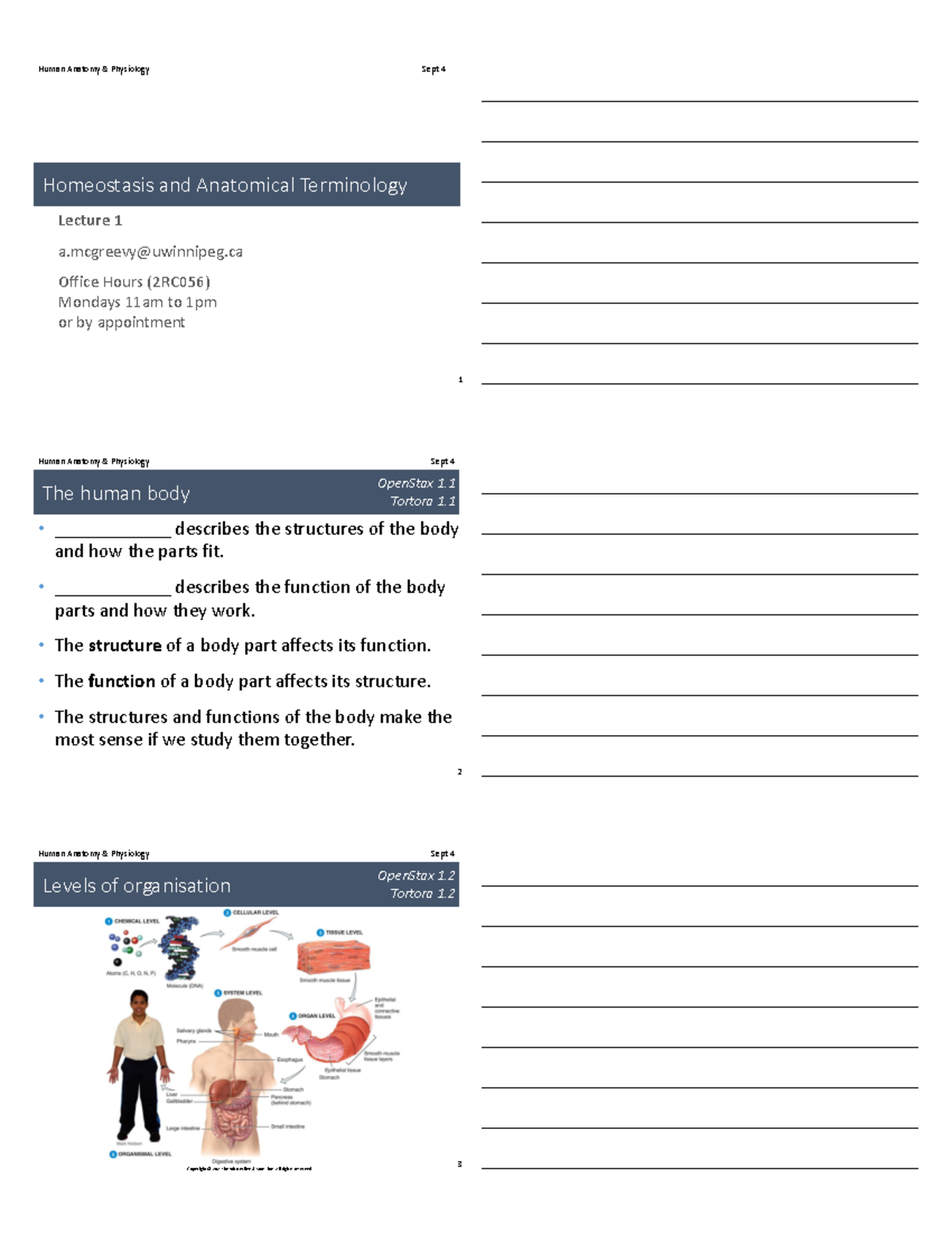 Lecture 1 - Sept 4 - Homeostasis and Anatomical Terminology - Notes ...