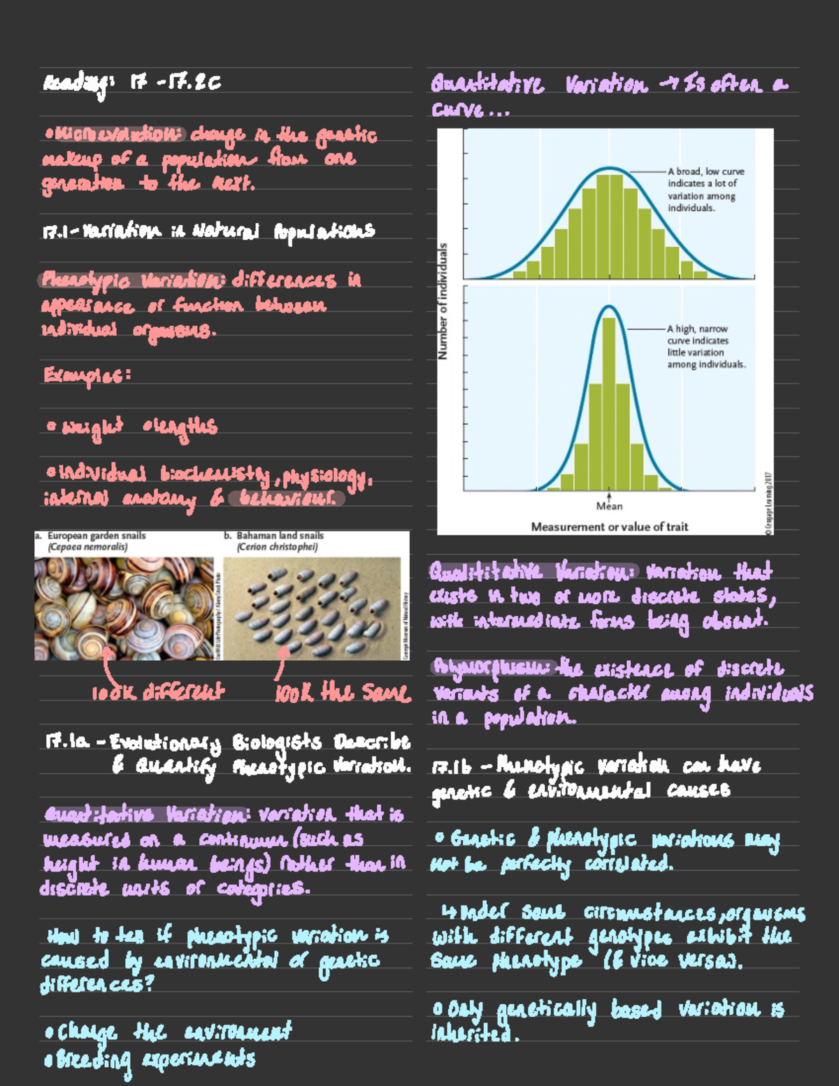 Biology Lecture Notes 6 Warning Error During Font Loading Xmlrequest Is Not Defined