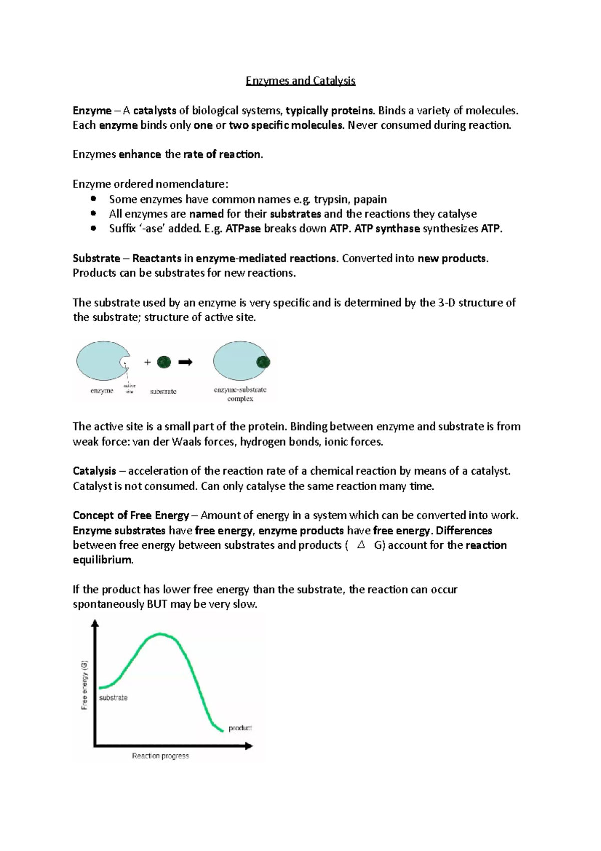 Lecture 2 - BIOC - Enzymes and Catalysis Enzyme – A catalysts of ...