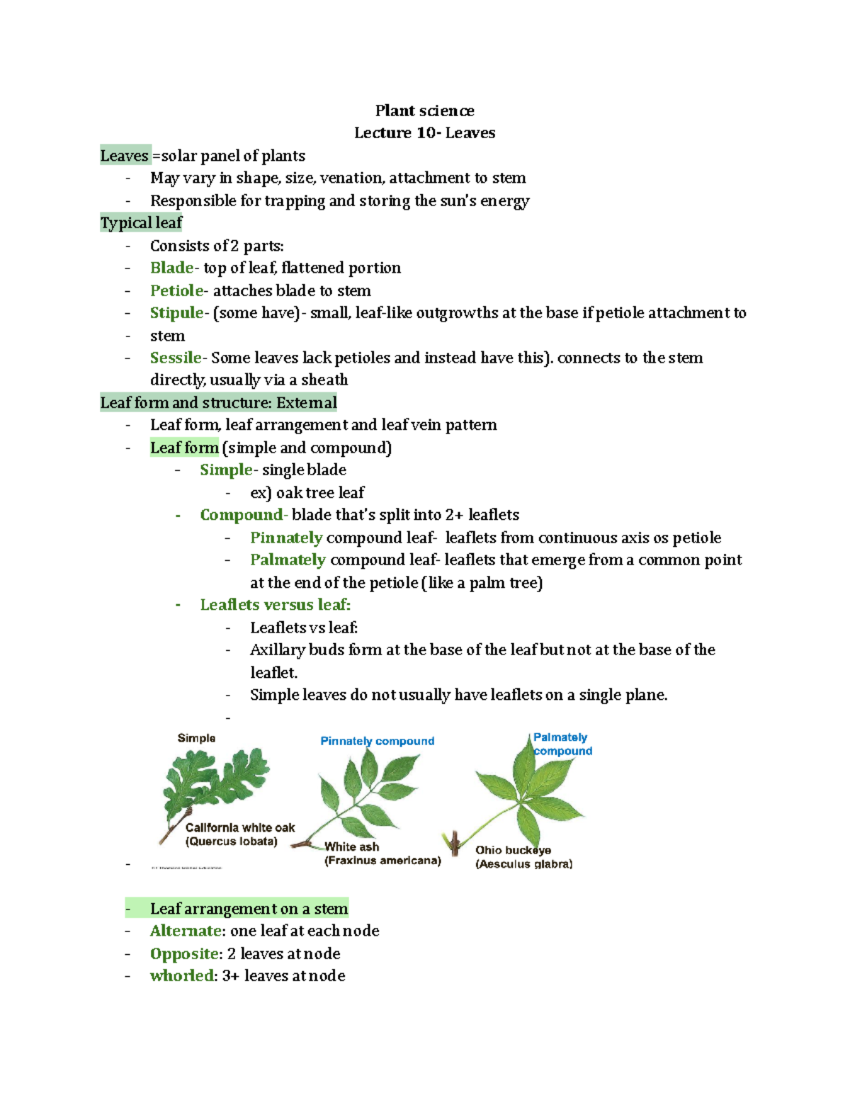 Leaves Lecture - Plant science Lecture 10- Leaves Leaves =solar panel of plants May vary in ...