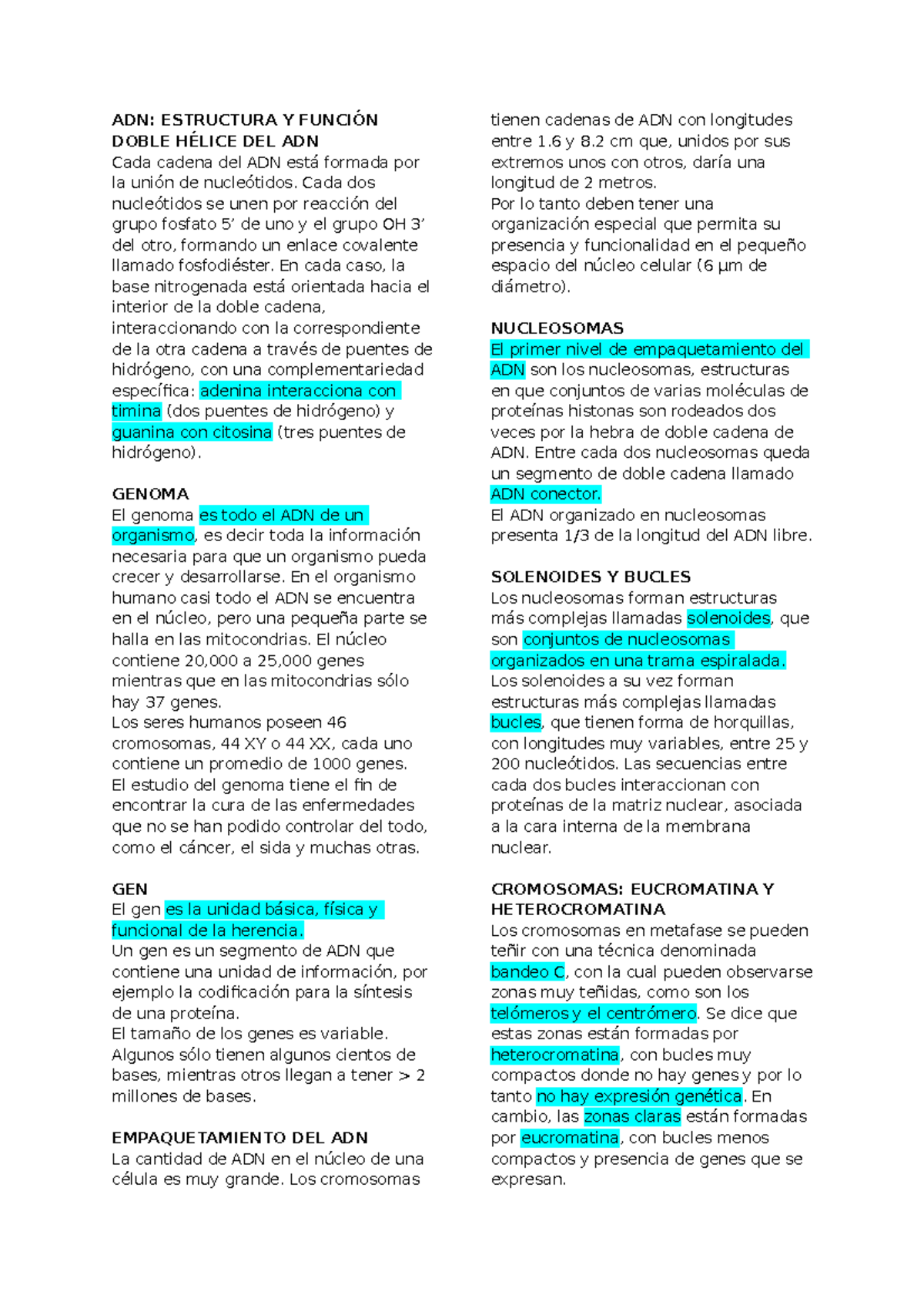 Estructura del ADN - ADN: ESTRUCTURA Y FUNCIÓN DOBLE HÉLICE DEL ADN ...