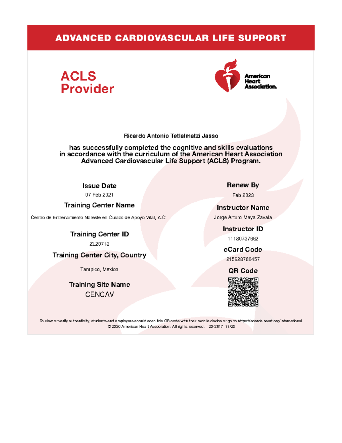 ACLS E-Card - ADVANCED CARDIOVASCULAR LIFE SUPPORT ACLS Provider has ...