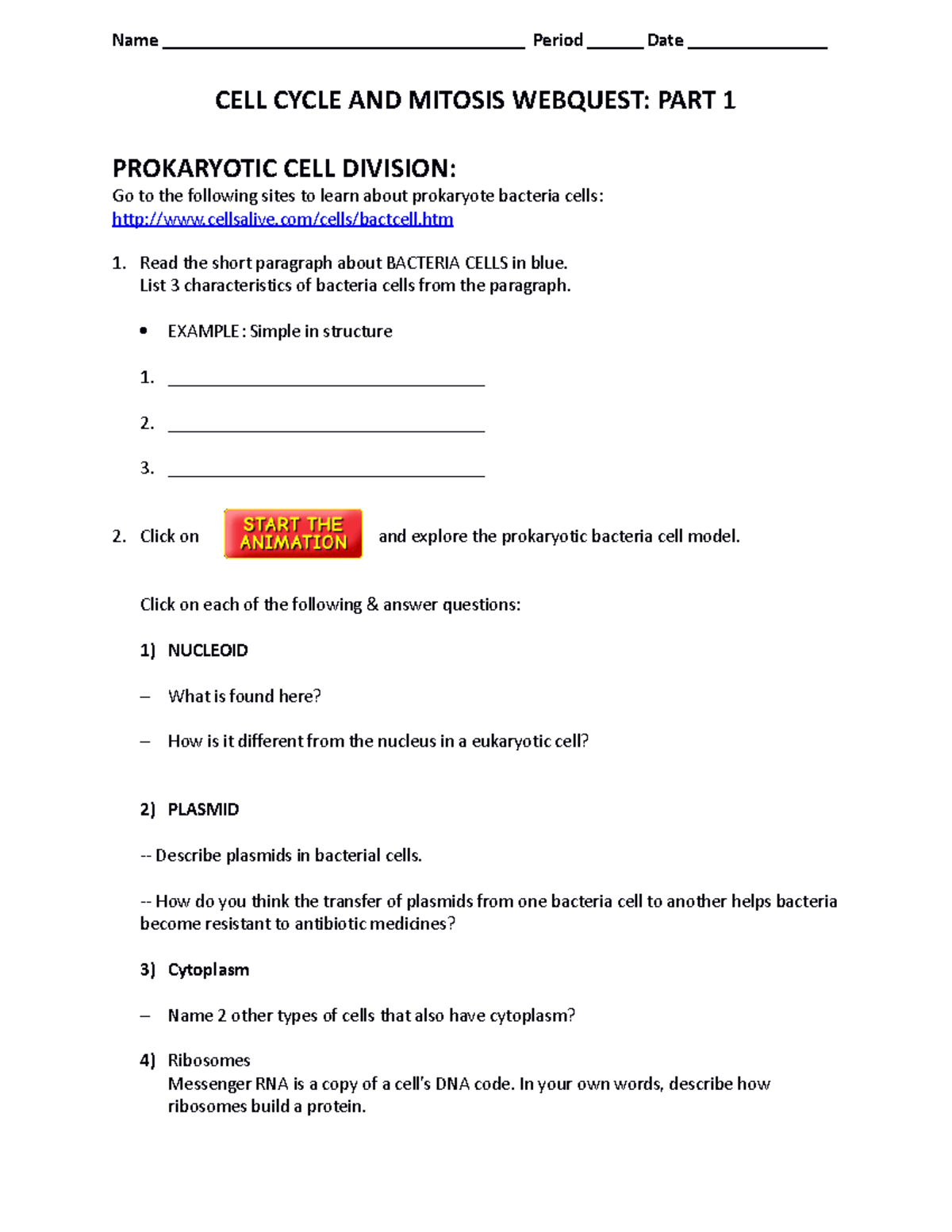 Cell Cycle Webquest PART 1 - Name ...