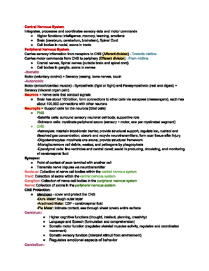 ANAT 200 - Respiratory System - ANAT 200 – Respiratory System FUNCTIONS OF THE RESPIRATORY ...