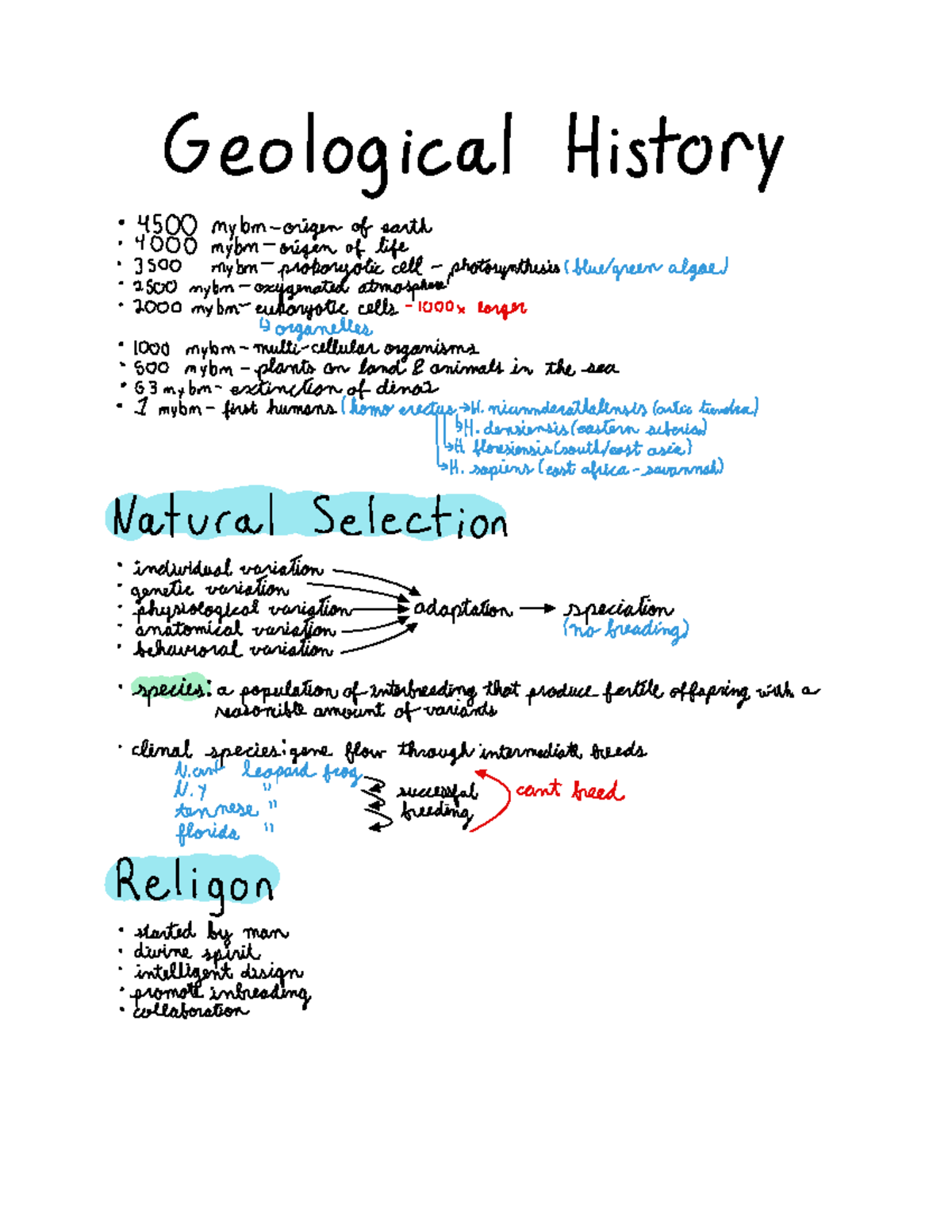 Geological History - Lecture notes 1 - Geological History 4500 my bm ...