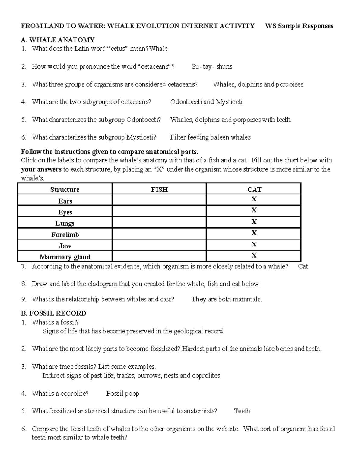 Answer Key Whale Evolution From Land to Water Indiana University - FROM ...