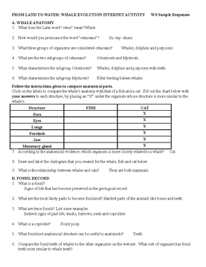 5 Points of Natural Selection - Answer Key 2 - 5 Points of Darwin’s ...