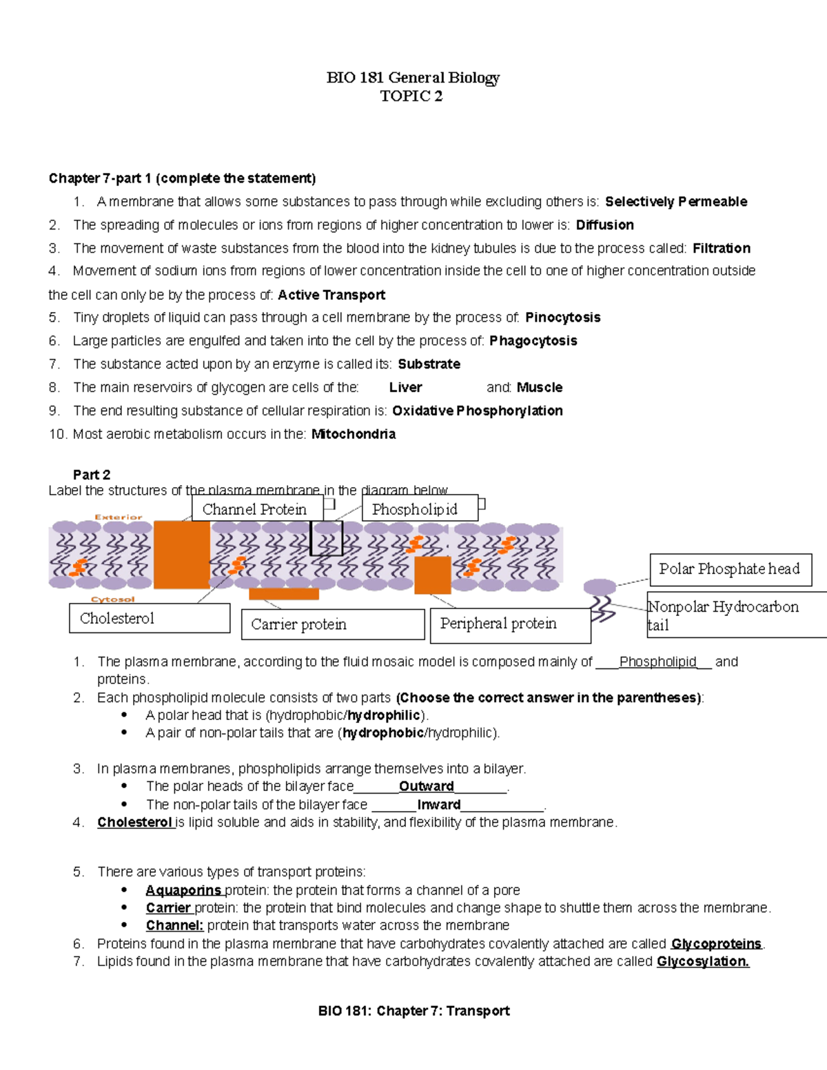 WEEK 4-HW- CH 7 worksheet - BIO 181 General Biology TOPIC 2 Chapter 7 ...