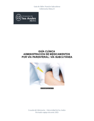 Guia de punción intramuscular - de taller: Intramuscular Equipo docente ...