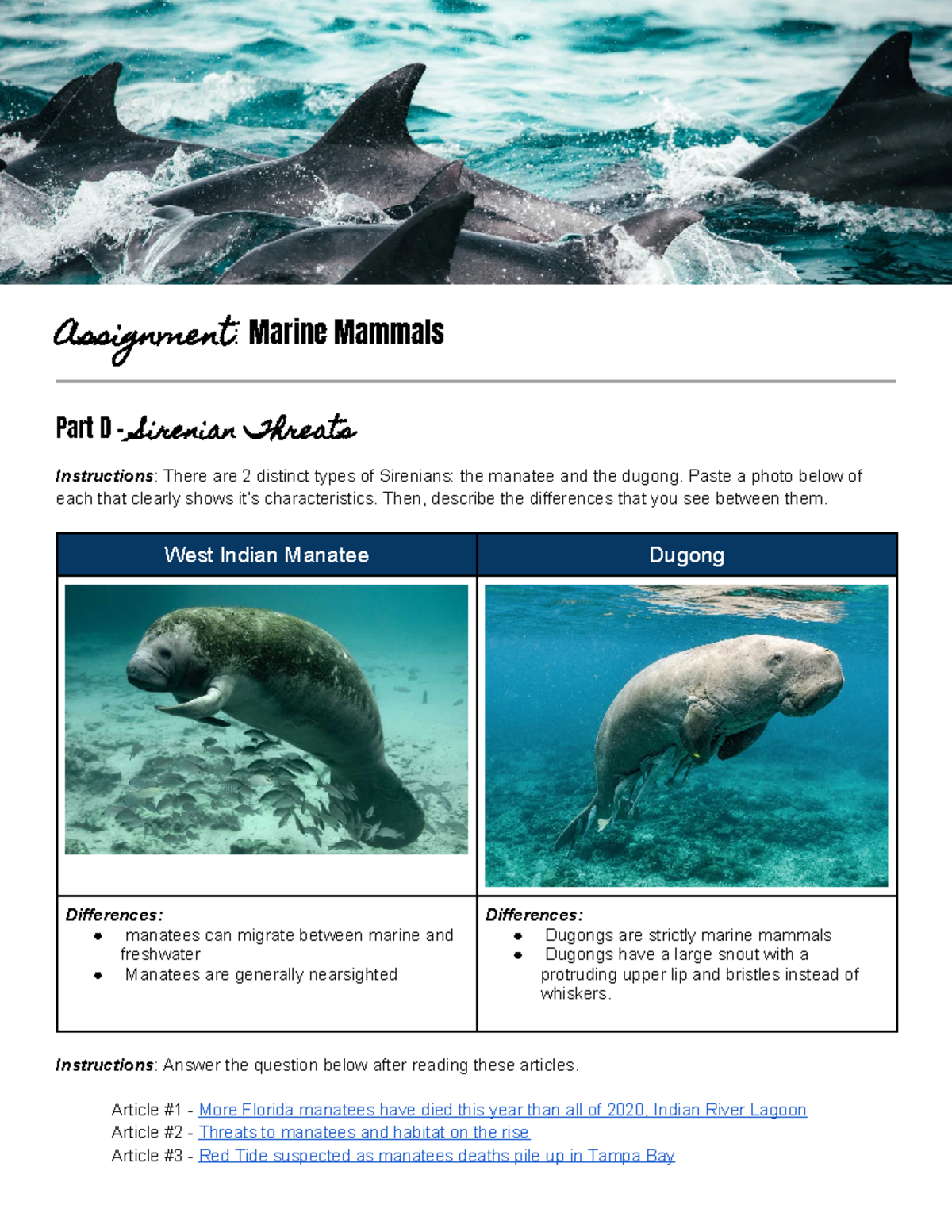 Copy of Sirenian & Sea Otters Marine Mammals Assignment - Assignment ...
