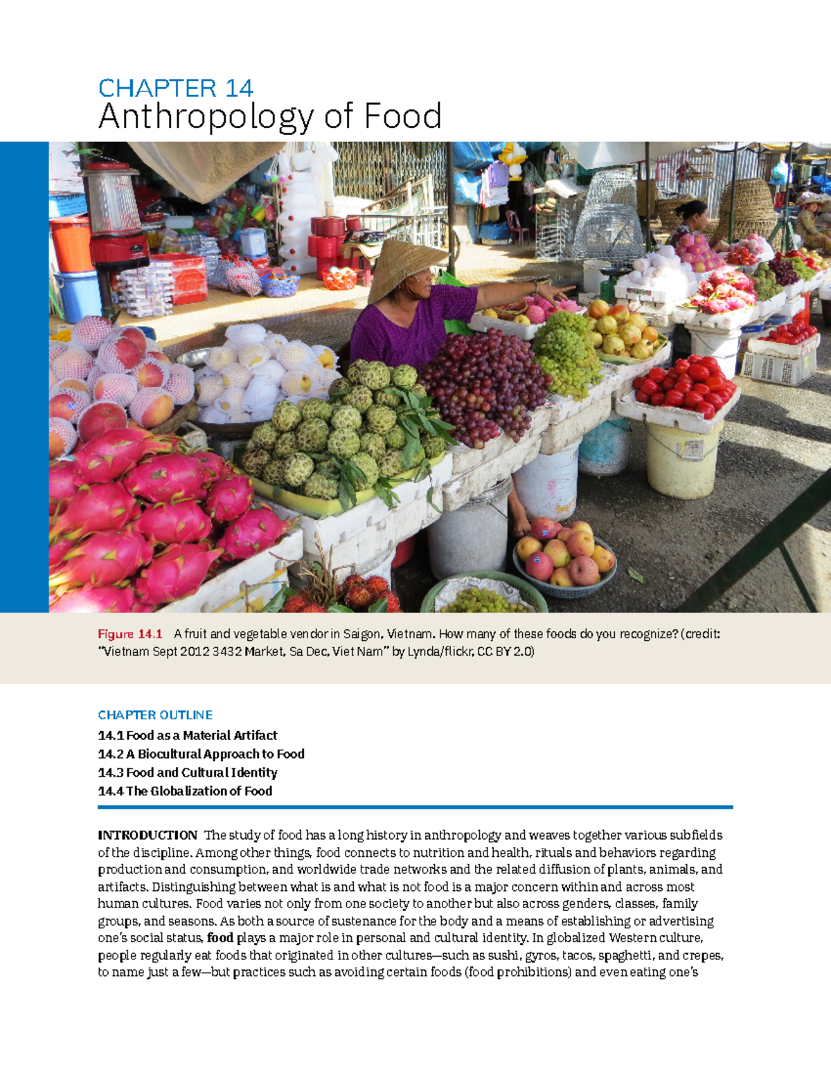 Chapter 14 Anthropology of Food Part 1 - INTRODUCTION CHAPTER 14 ...