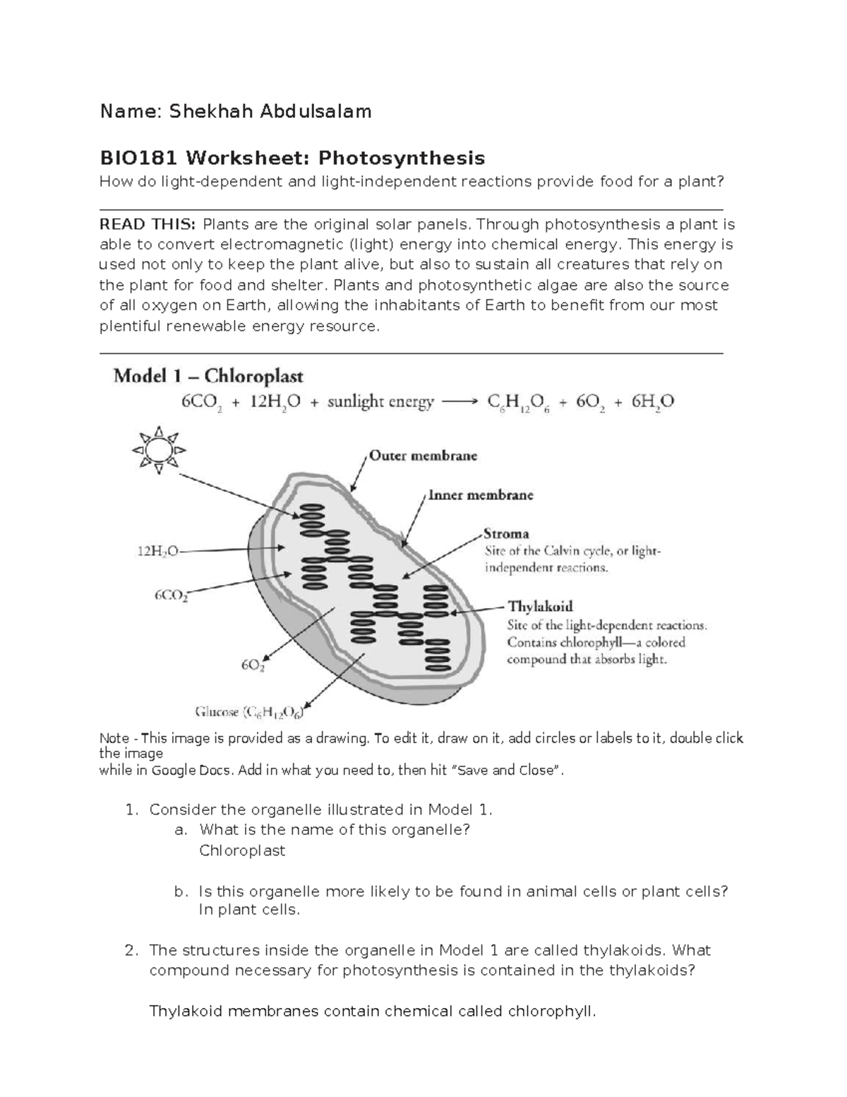 BIO181 Photosynthesis Worksheet - Name: Shekhah Abdulsalam BIO181 ...