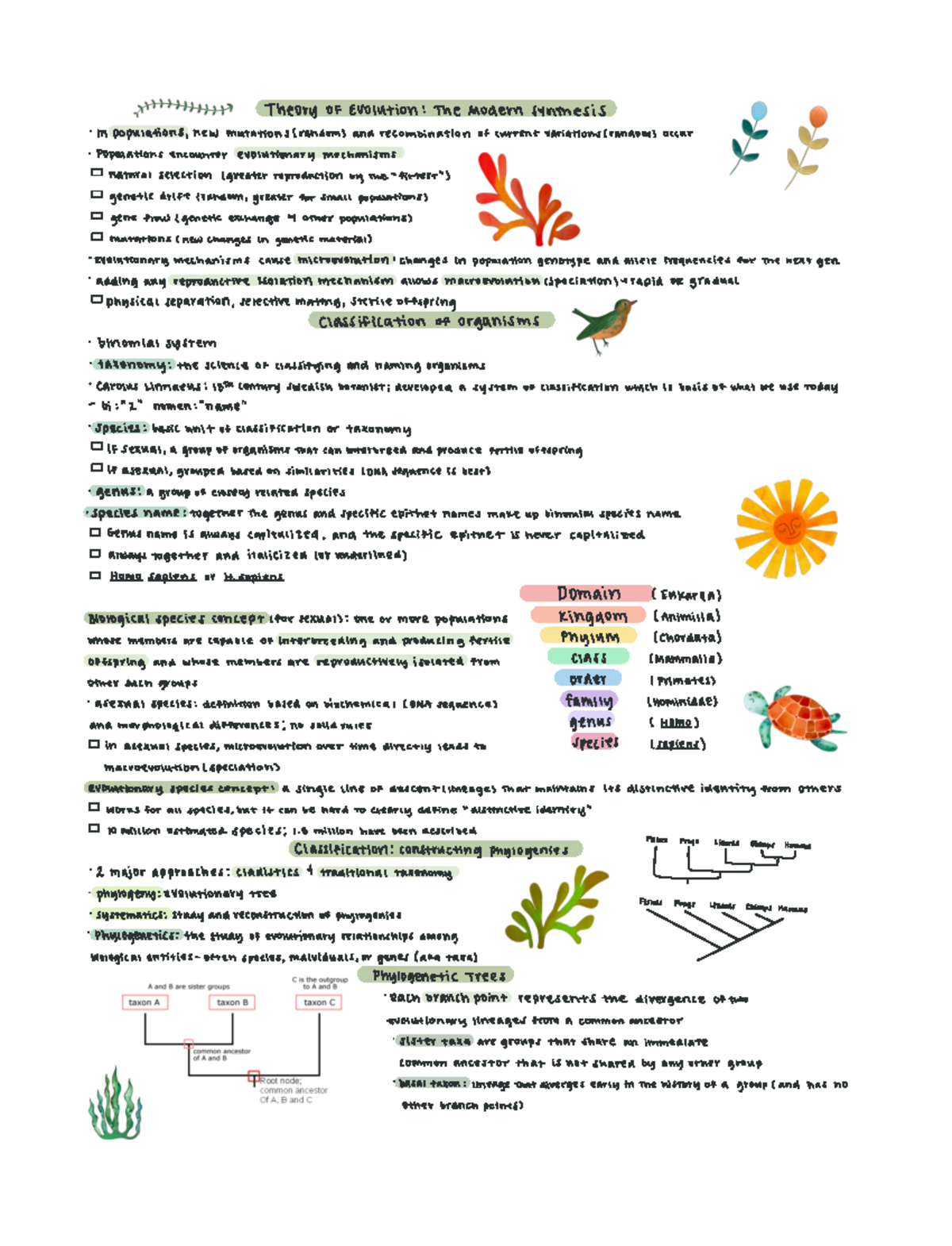 Bio Notes - Theory Of Evolution, Classification of Organisms ...