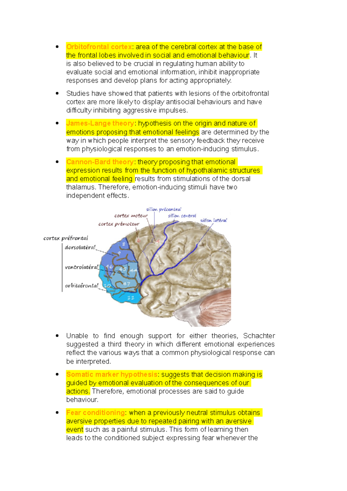 Week 4 - Lecture notes 4 - Orbitofrontal cortex : area of the cerebral ...