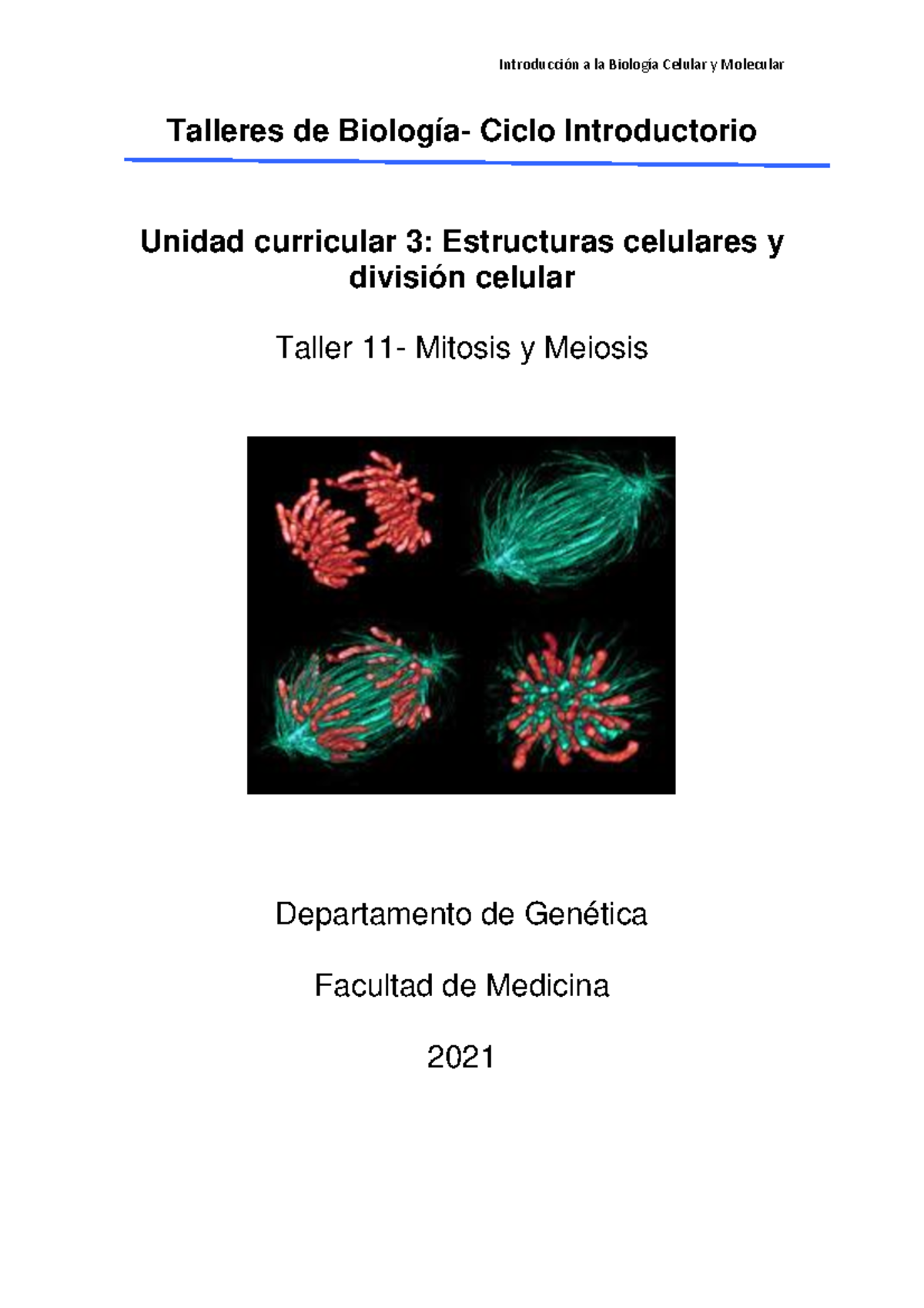 Respuestas-Taller 11- Mitosis y Meiosis - Talleres de Biología- Ciclo Introductorio Unidad - Studocu