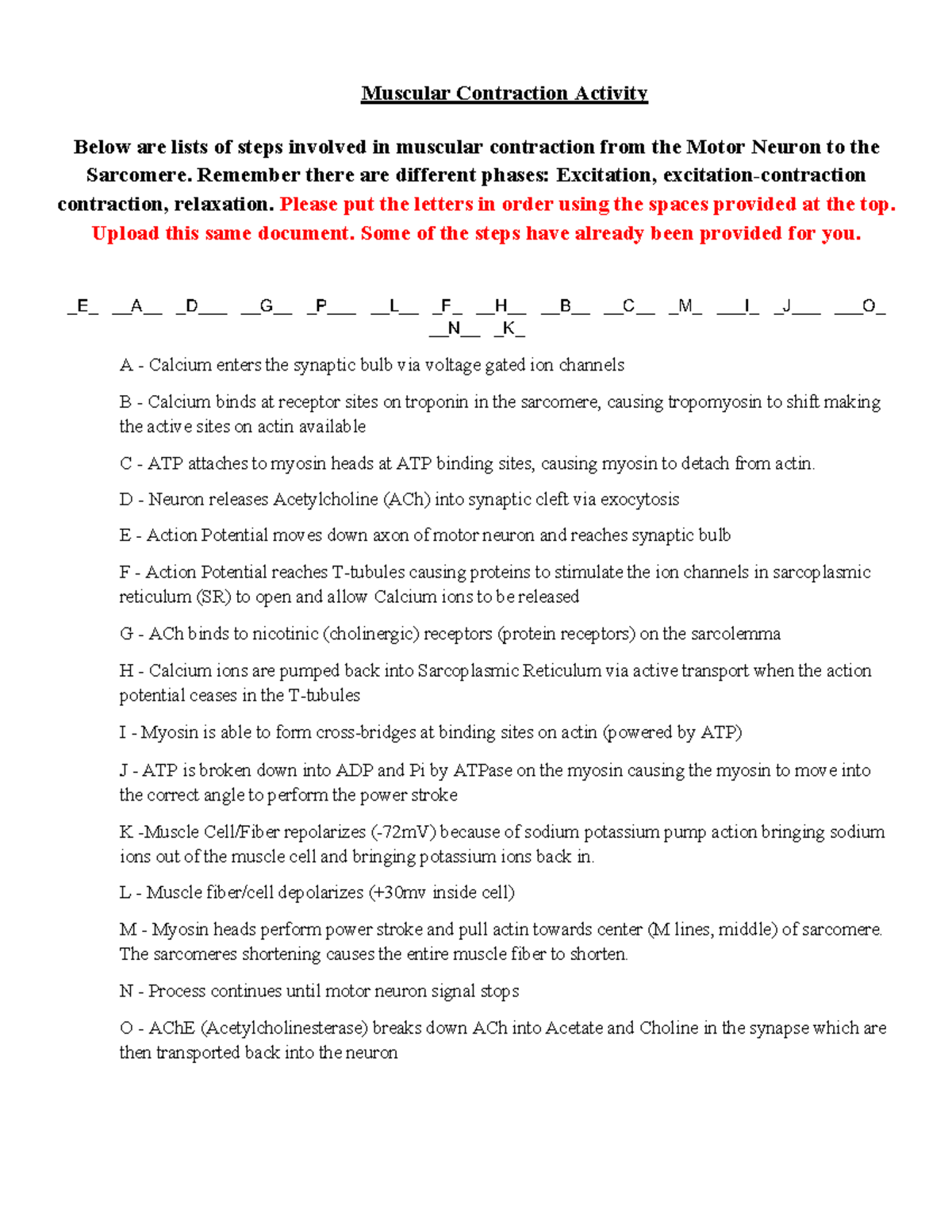 Muscular Contraction & Neuromuscular Junction Activity - Muscular ...