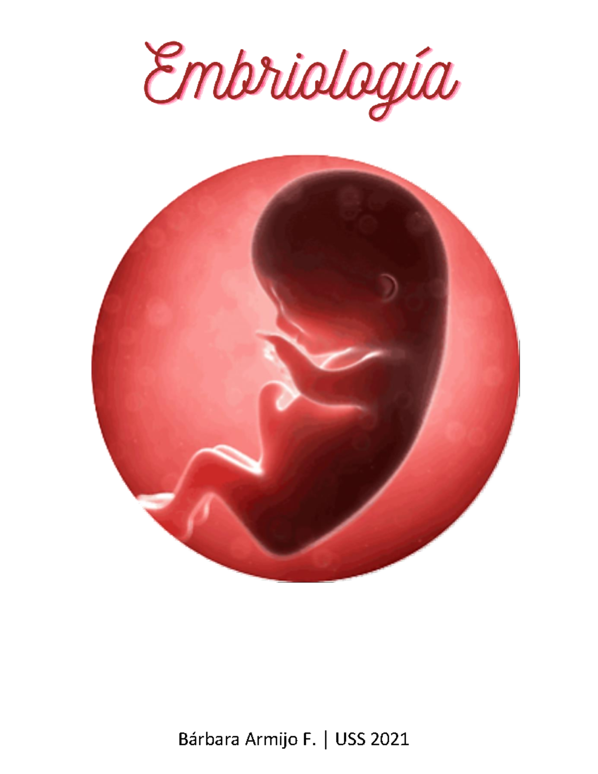 Histoembriología Solemne 1 - B·rbara Armijo F. │ USS