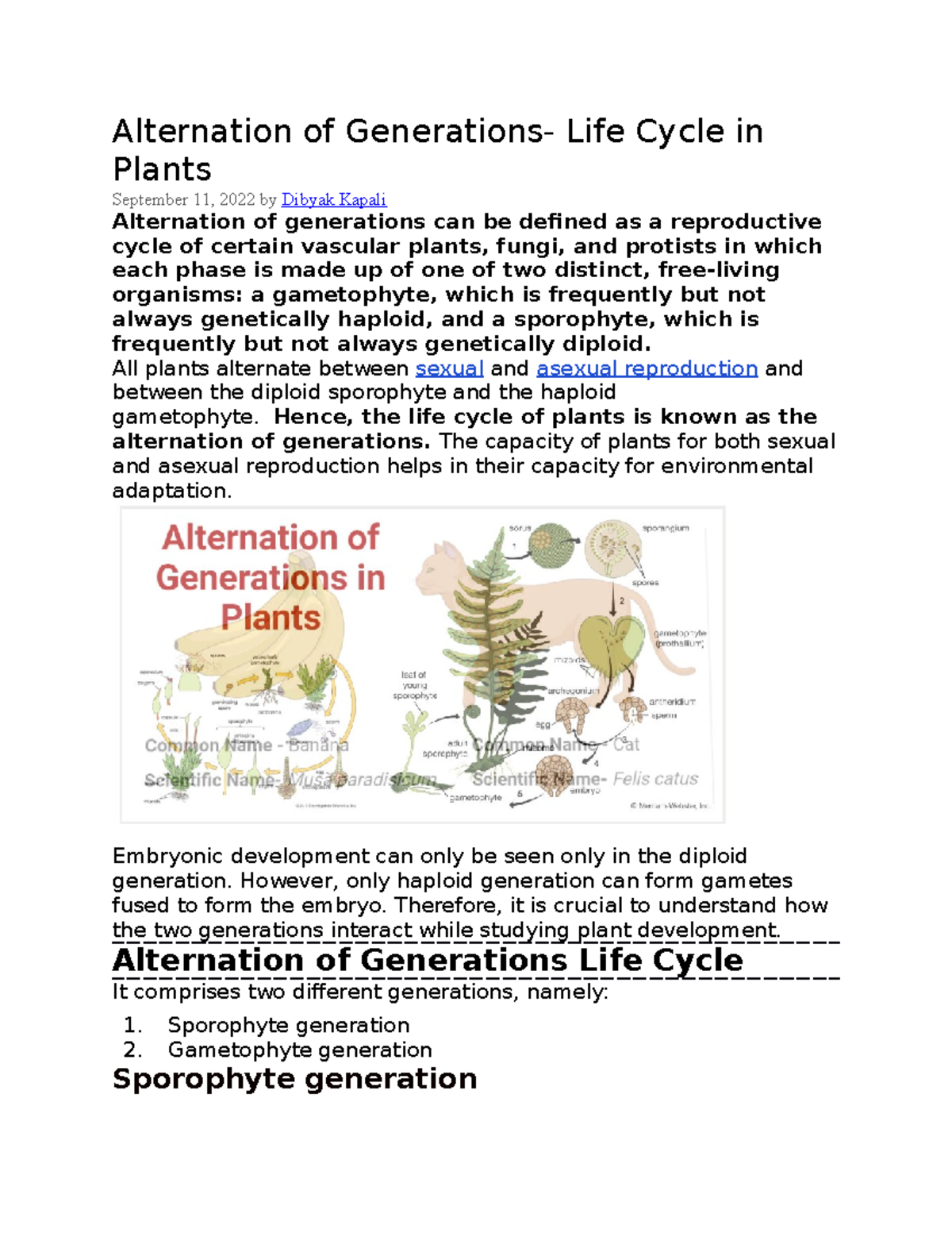 Biology notes - Alternation of Generations- Life Cycle in Plants ...
