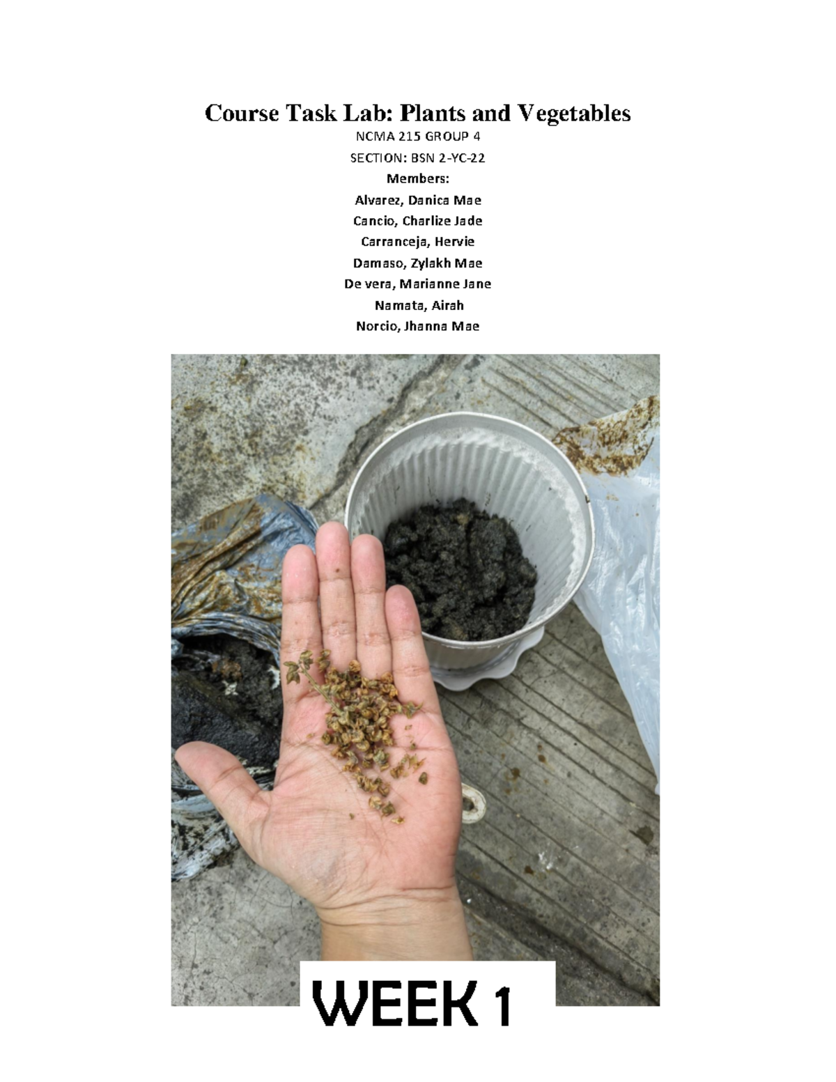 Course Task Lab Plants and Vegetables - The potential health benefits ...