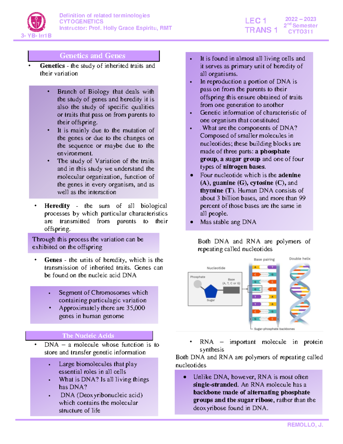 CYTO WEEK-1 - Cytogenetics Related Terminologies - 3- YB- Irr1B ...