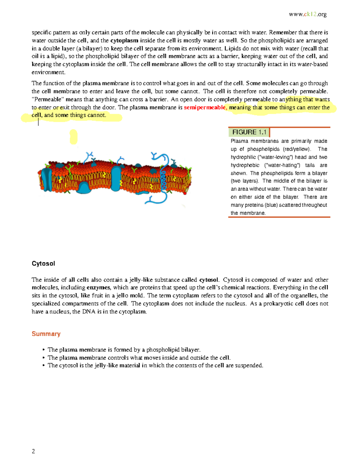 Intro To Cell Membrane and Plasma Diagrams Chapter 2 - ck12 - Studocu