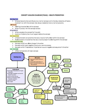 Safety - Concept Analysis Diagram-1 - CONCEPT ANALYSIS DIAGRAM (TEXAS ...